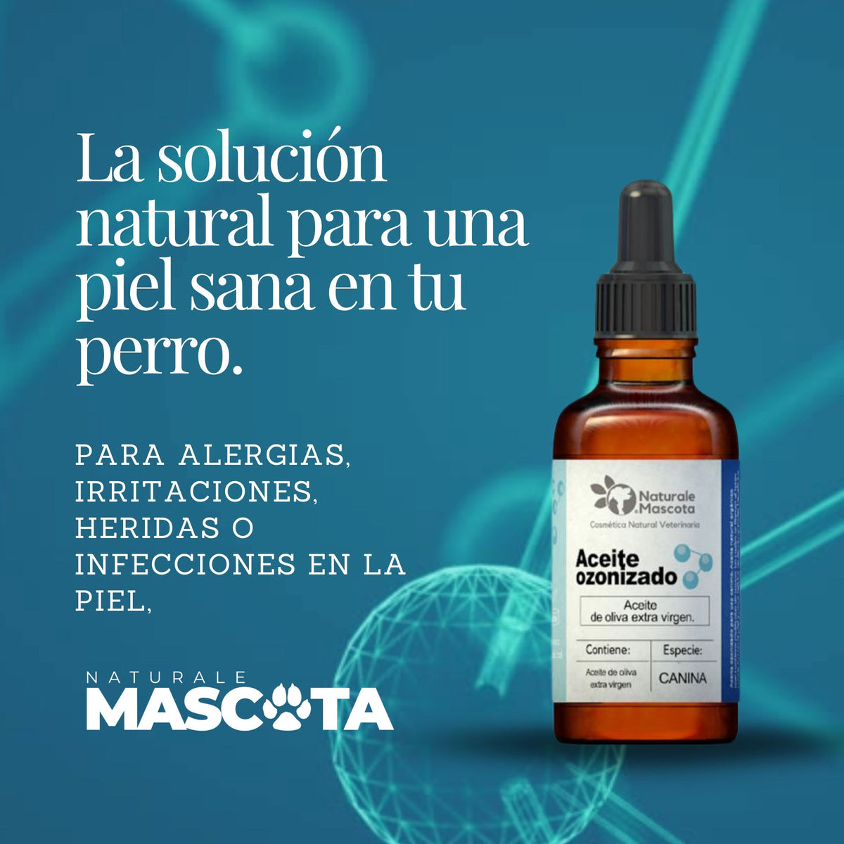 La Solución Natural Para una Piel Sana en Tu Perro – Naturale Mascota